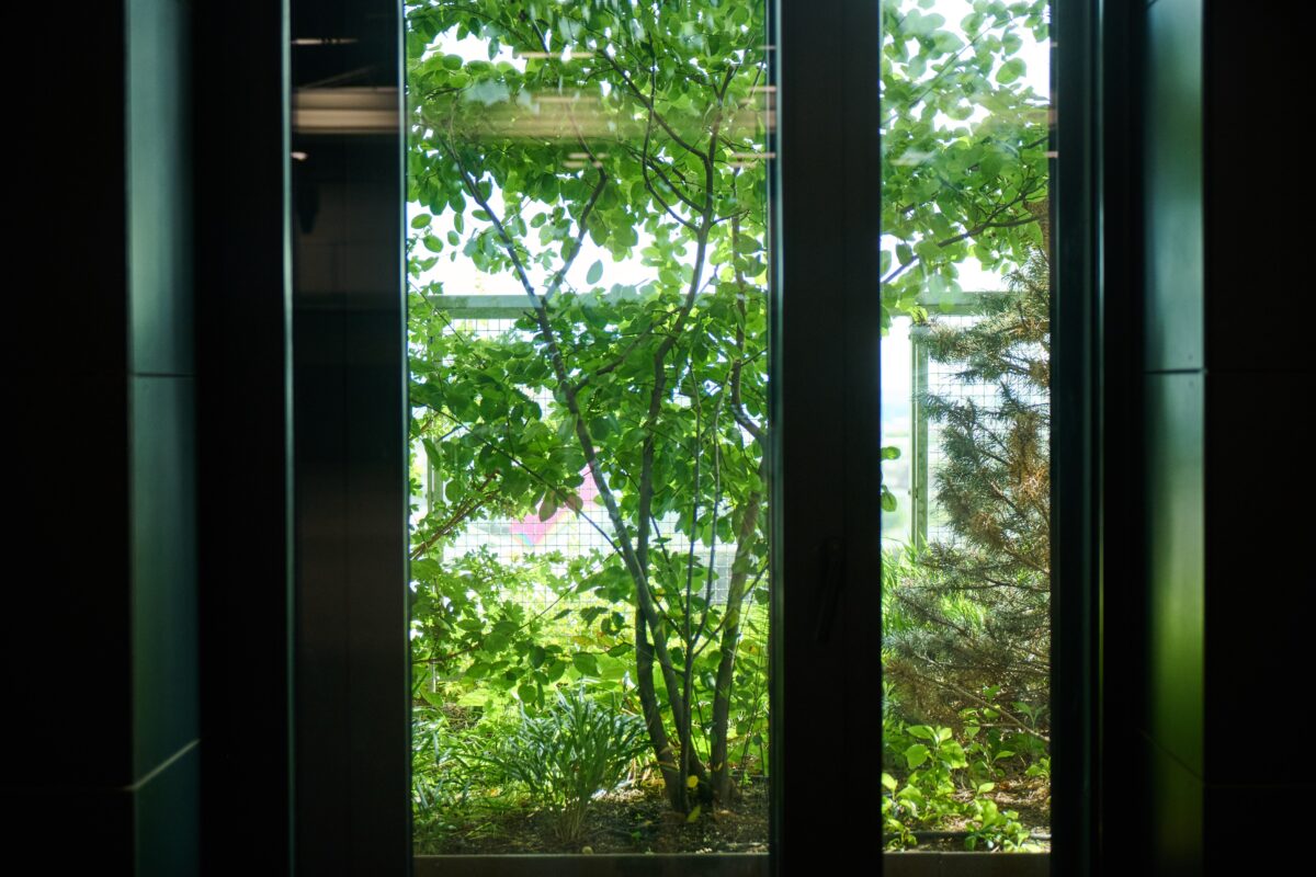 Service – Georg Elser Halle